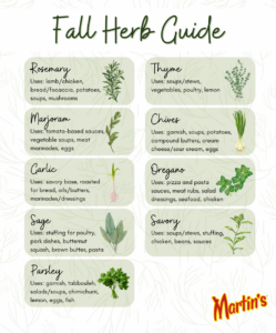 Fall Herb Guide - Martin's Famous Potato Rolls and Bread