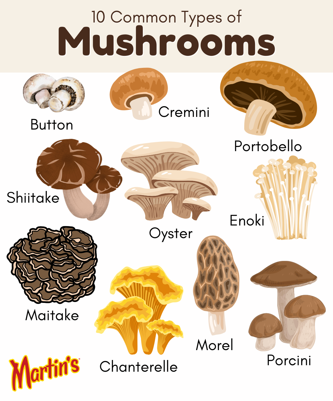 Mushrooms 101 Infographic - with labels 1080x1300 - Martin's Famous ...